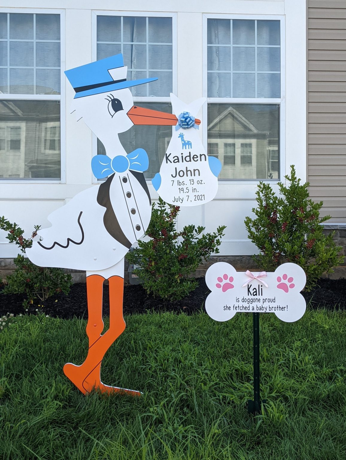 Welcome Home Baby Boy Stork Sign - St. Mary's Storks