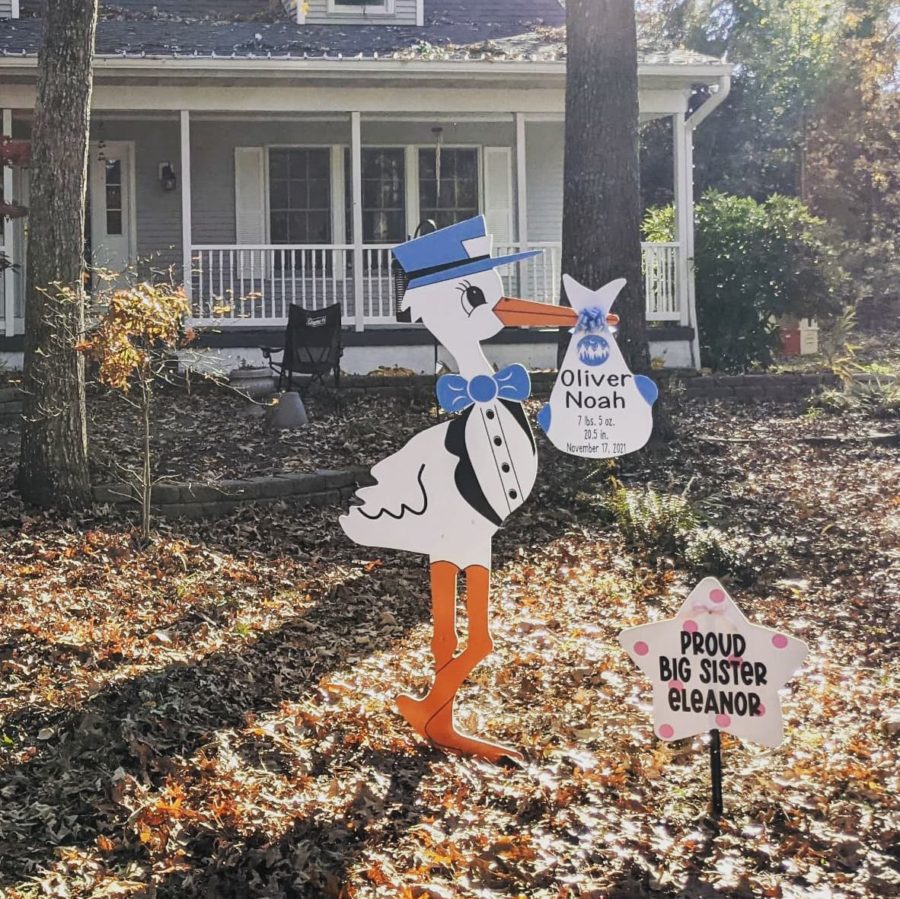 Welcome Home Stork Sign - St. Mary's Storks