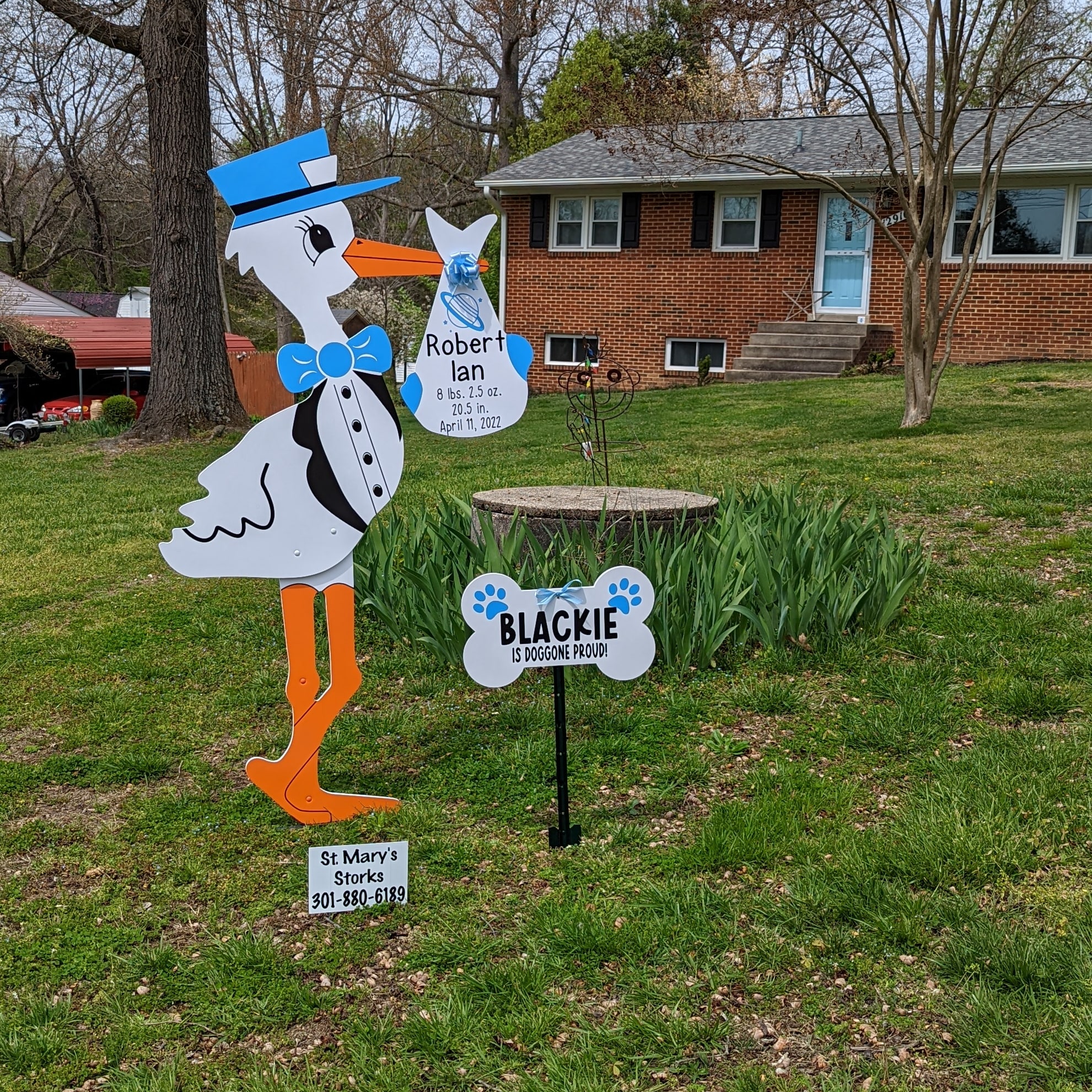 Stork Yard Sign Rentals - St. Mary's Storks